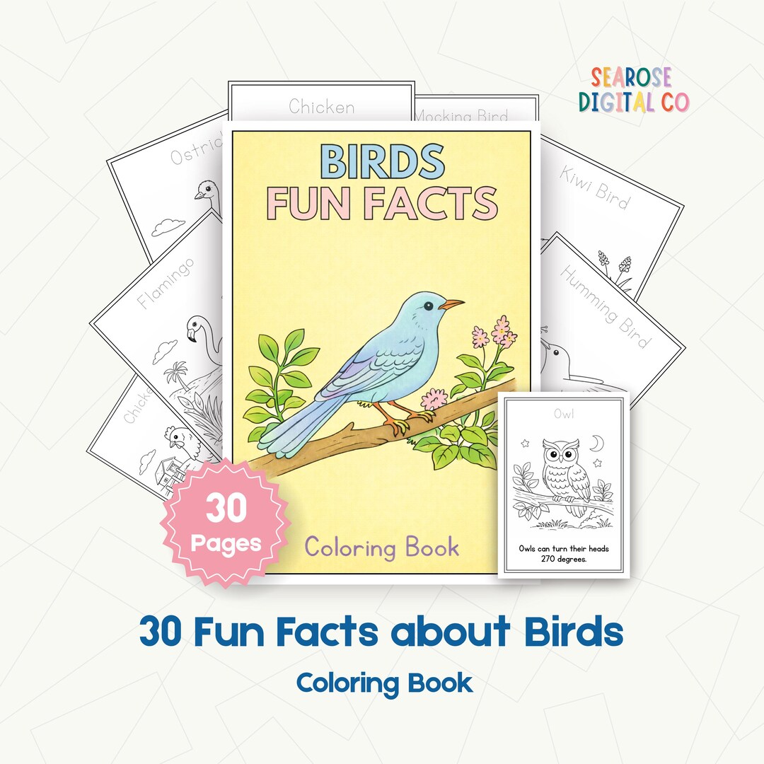 Kids Bird Coloring Book, Fun Facts, Educational (digital Download) - Etsy