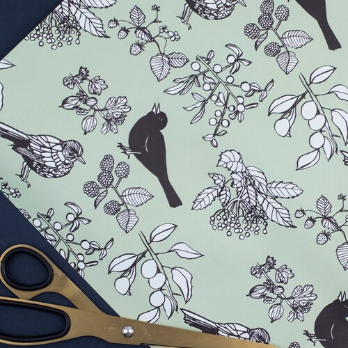 Birds and Berries Gift Wrap: 2 Sheets Pink or Green. Bird - Etsy