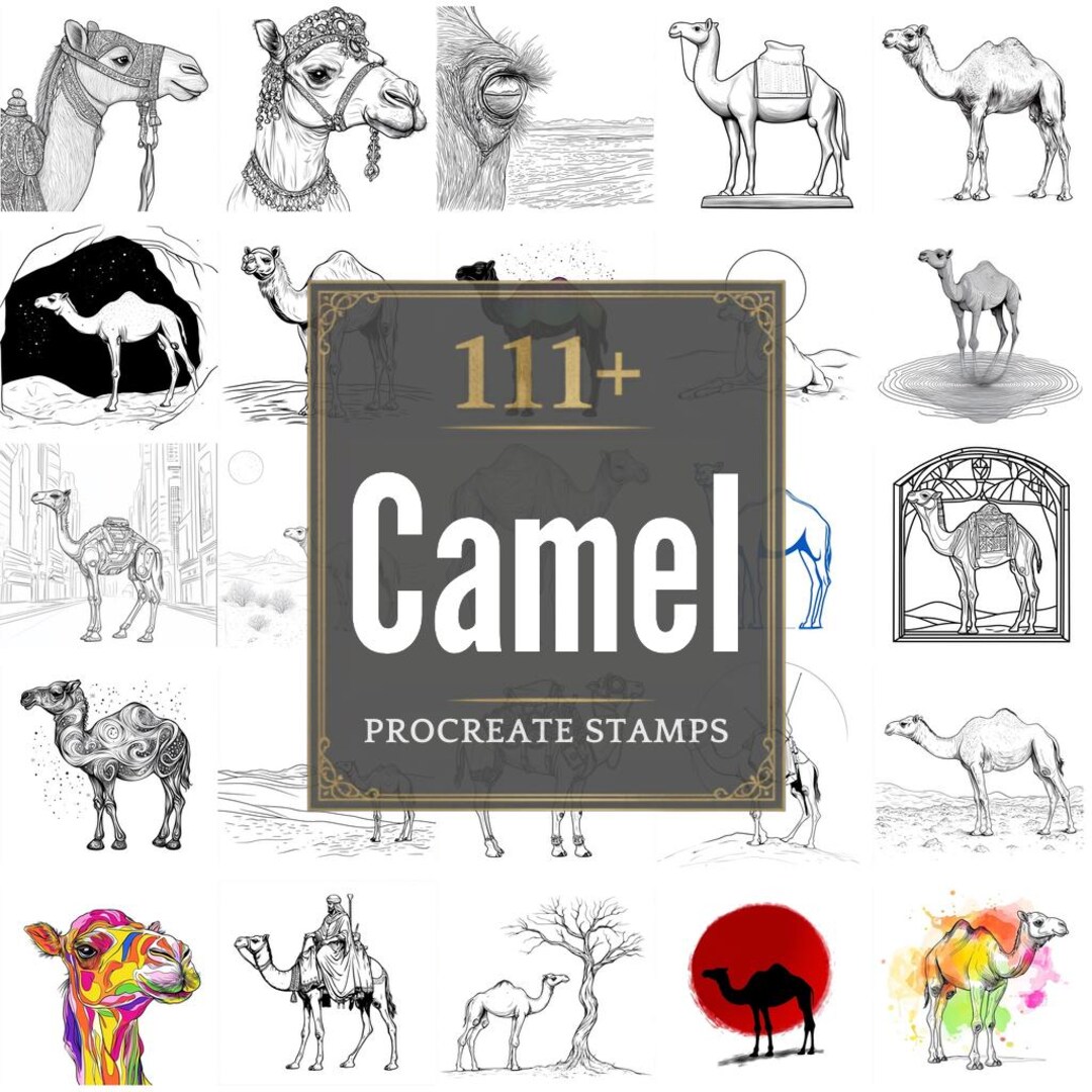 111+ Procreate Camel Brushes | Procreate Stamps | PNG Files | Instant ...
