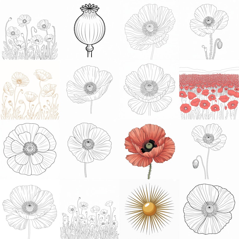 Poppy Flower Procreate Stamps | 111+ Brushes, Pngs (digital Download ...