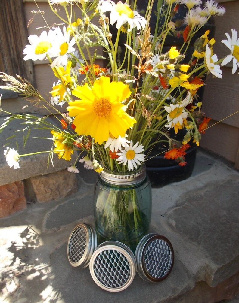 Mason Ball Jar Flower Frog Regular Mouth SILVER Lid With Quarter Inch ...