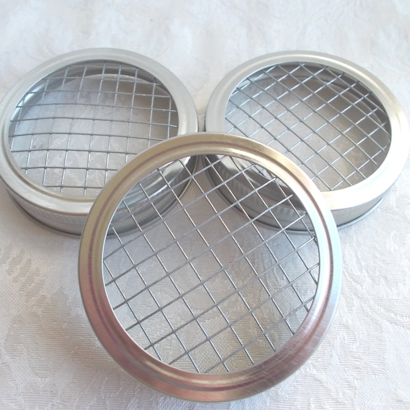 Metal Frog on Table - Etsy