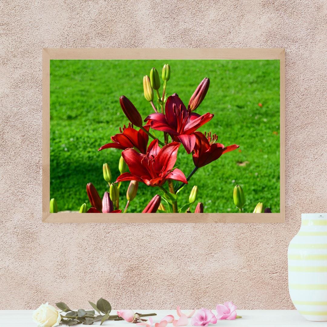 Red Lily in a Green Grass Background Digital Photo Print: Flower Nature ...