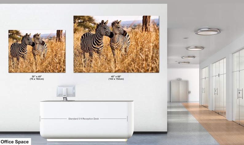 Two Zebras,zebra Portrait Tanzania,safari Wall Art,african Wildlife ...
