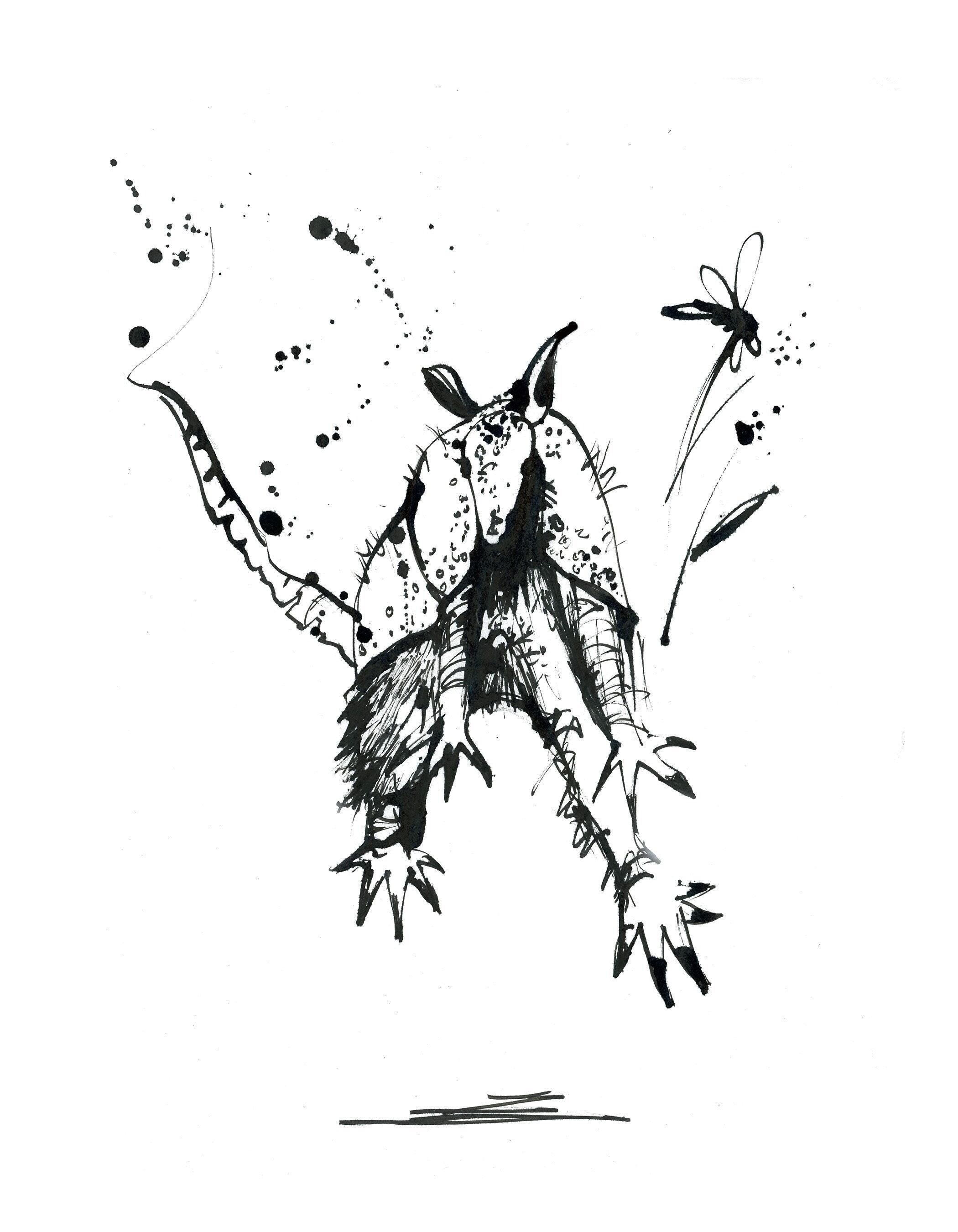 Armadillo Art Print, Sumi, Ink, Drawing, Black and White, Animal ...