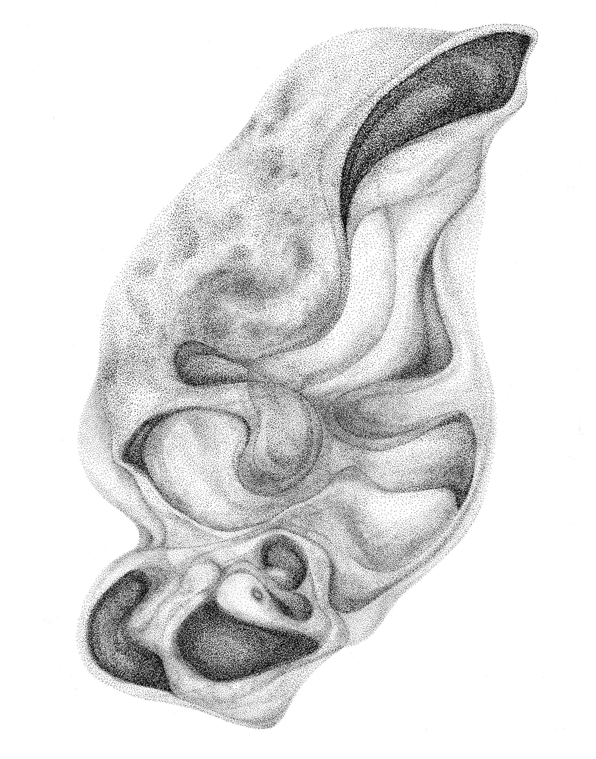 Print Murmuration #4, Pointillism, Stipple, Gallery, Art, Black and ...