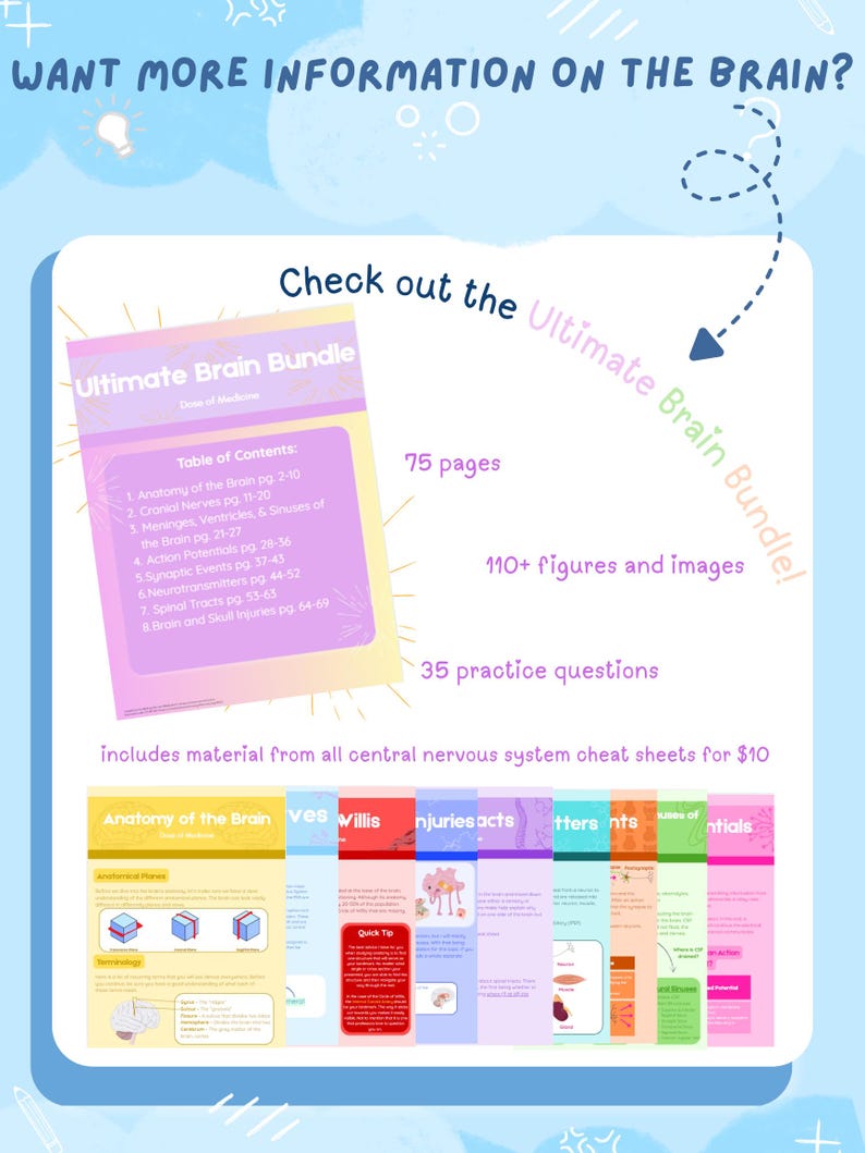 Anatomy of the Brain Cheat Sheet | Nursing & Medical Students | Digital ...
