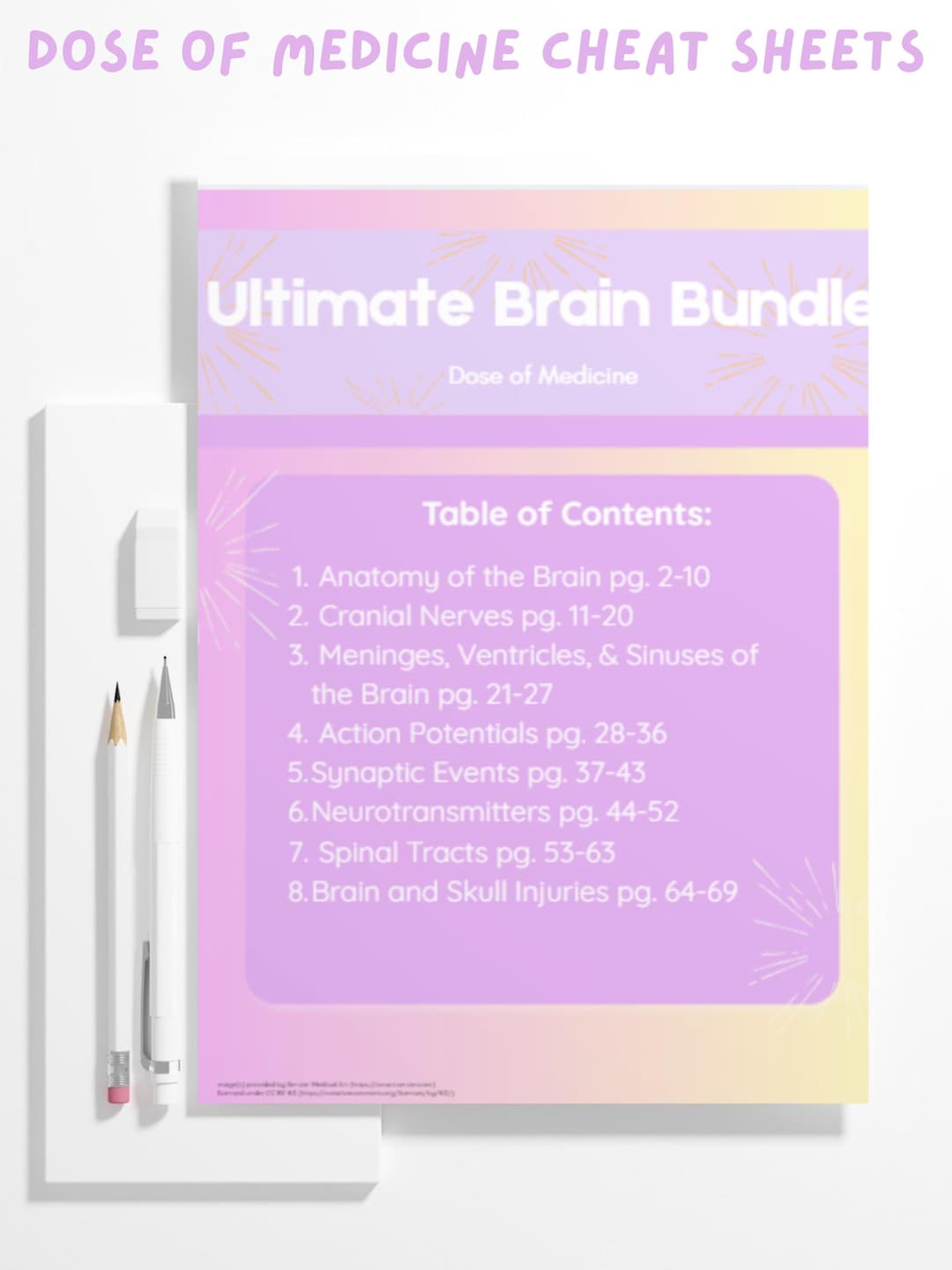 Ultimate Brain Bundle Cheat Sheet | 75 Pages of Anatomy, Physiology ...