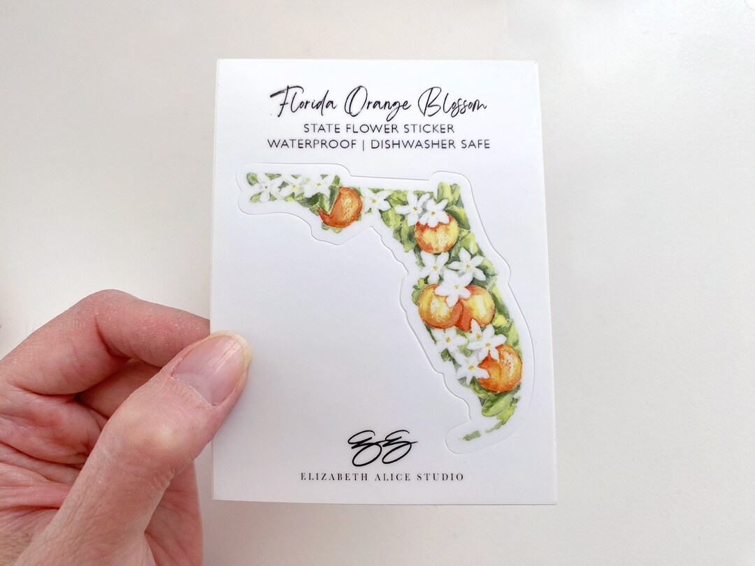 Florida Orange Blossom Sticker, State Flower Waterproof Vinyl Easy Peel ...