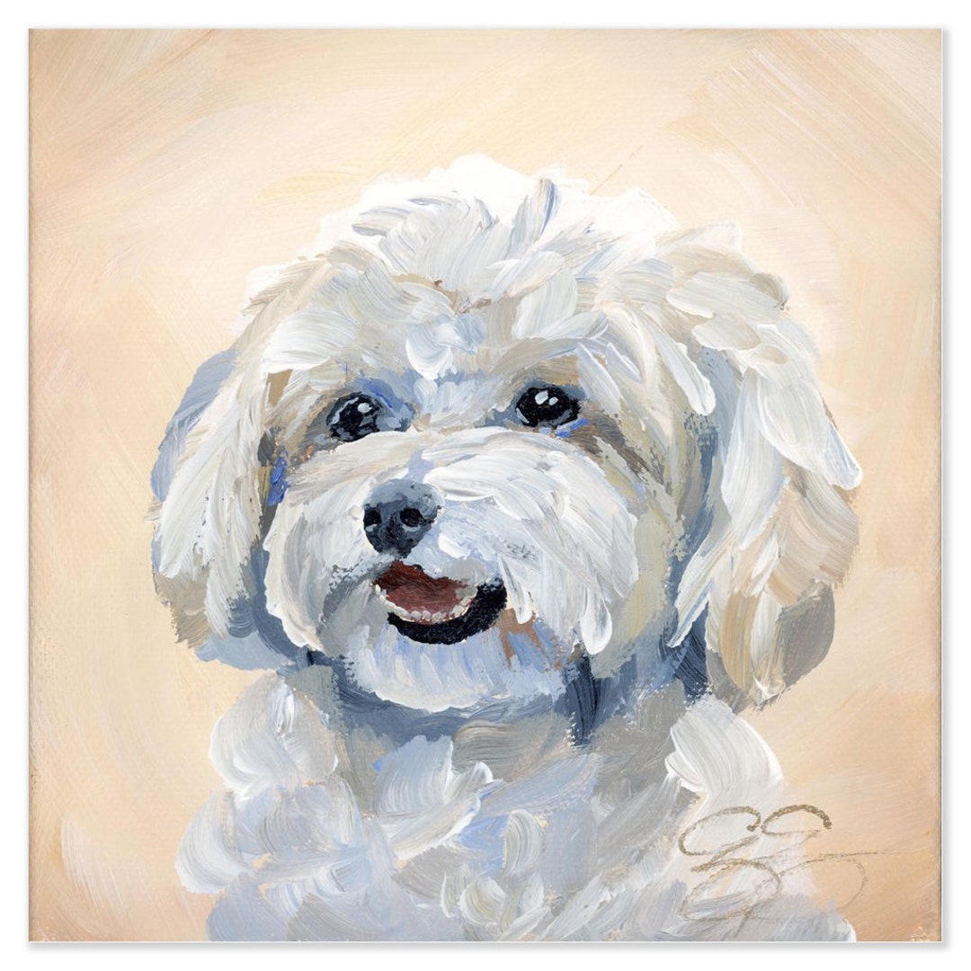 Maltese/maltipoo, A Fine Art Print on Paper, Square Dog Painting - Etsy