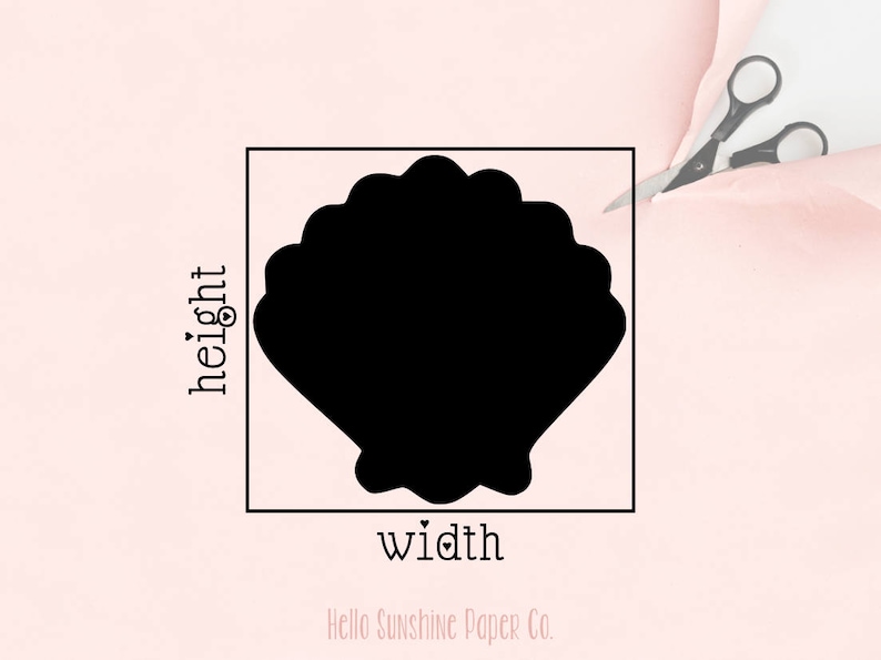 Seashell Paper Cut Outs Set of 25 - Etsy