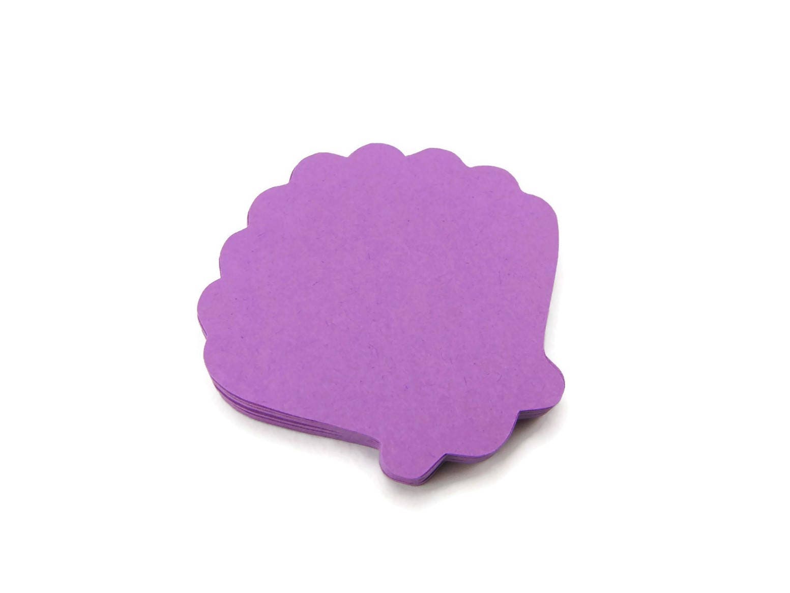 Seashell Paper Cut Outs Set of 25 | Etsy