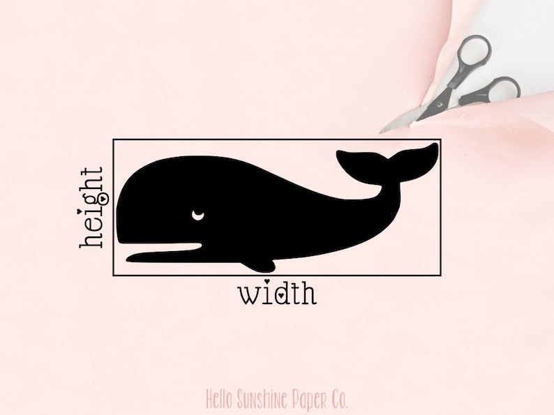 Whale Paper Cut Outs Set of 25 - Etsy