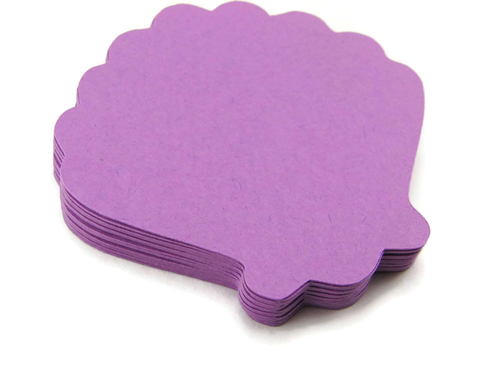 Seashell Paper Cut Outs Set of 25 | Etsy