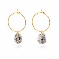 Mini Opihi Shell Collection - Etsy