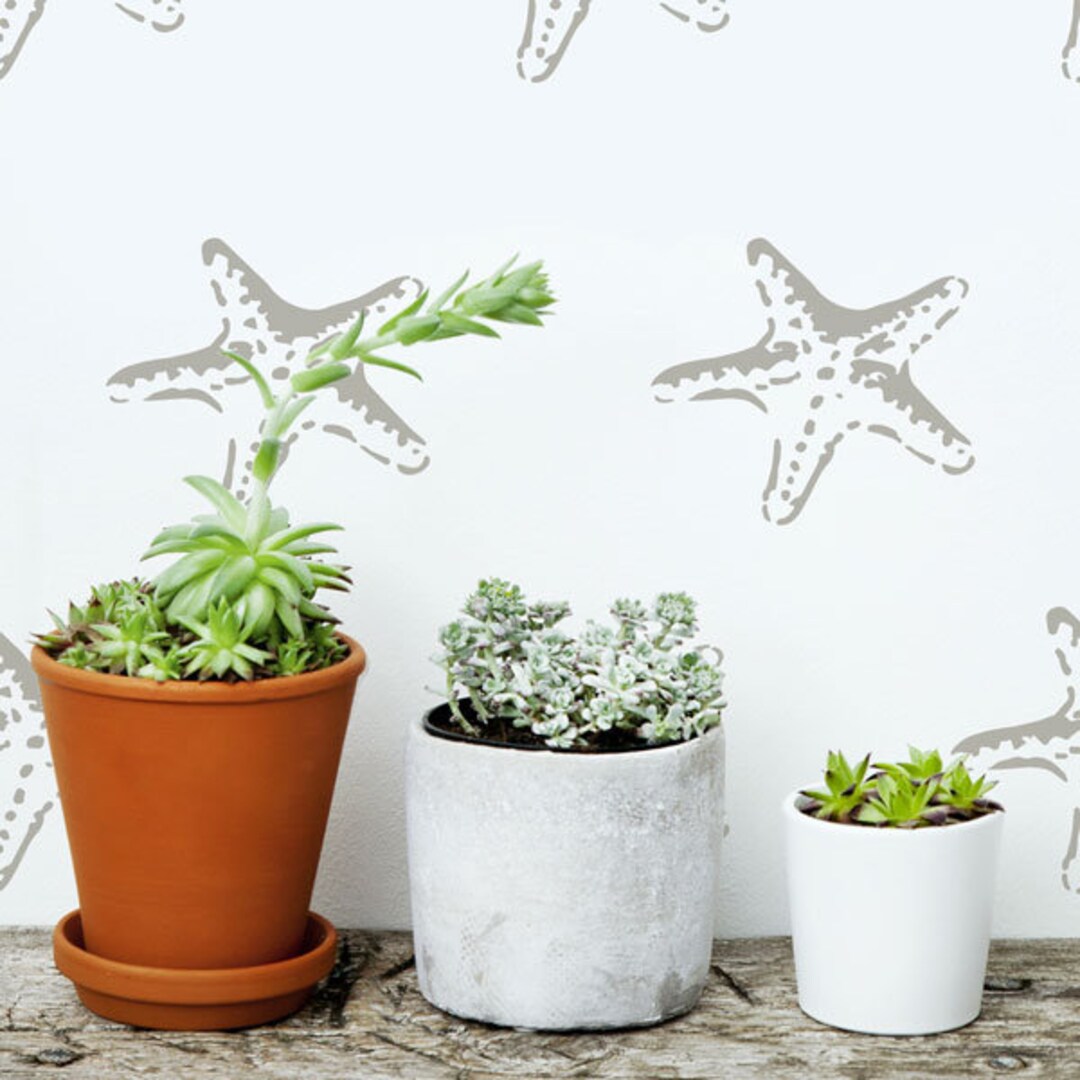 Stella Starfish Stencil From the Stencil Studio. Bathroom Stencils ...