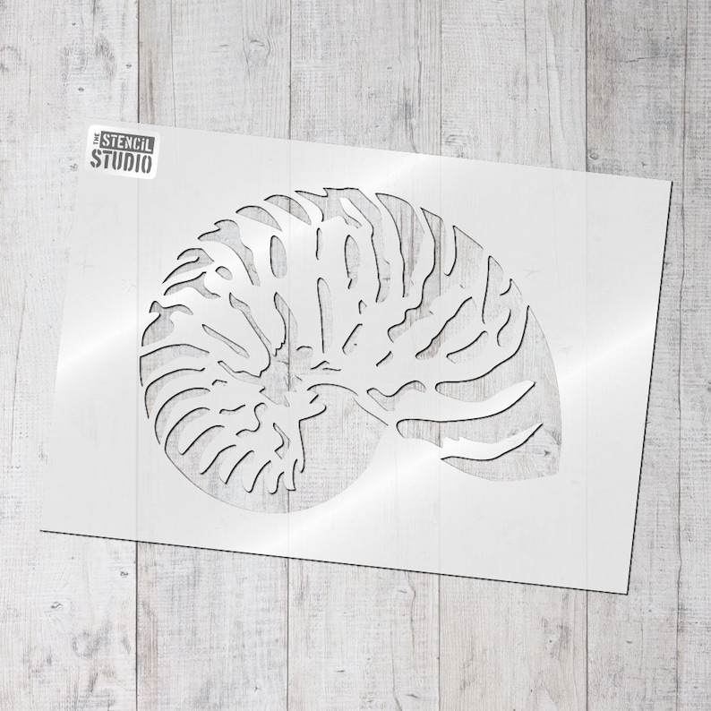 Nautilus Shell Stencil From the Stencil Studio. Bathroom Stencils. Wall ...
