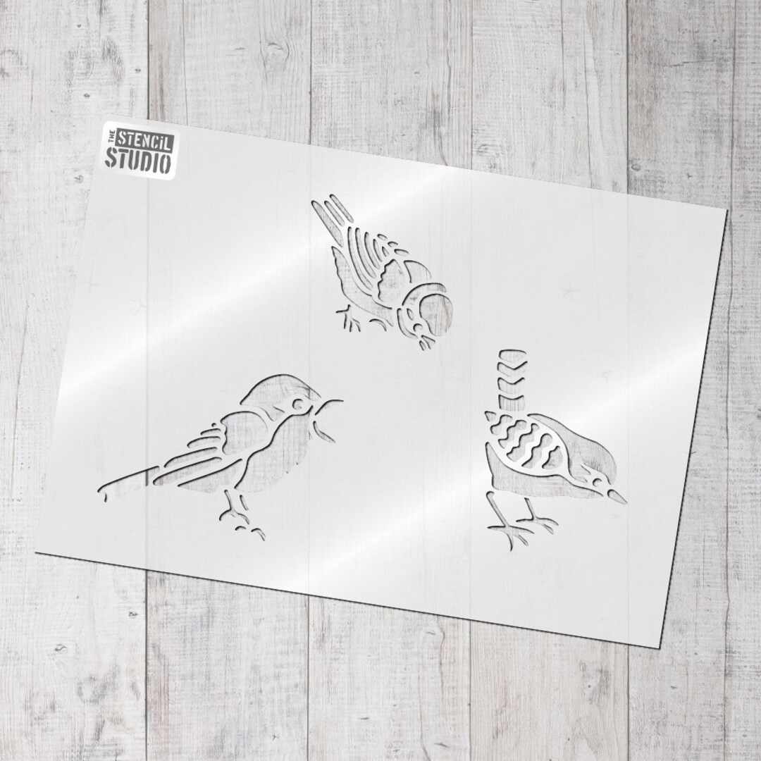 Birds Stencil - Robin, Wren & Bluetit Reusable Bird Wall Stencil ...