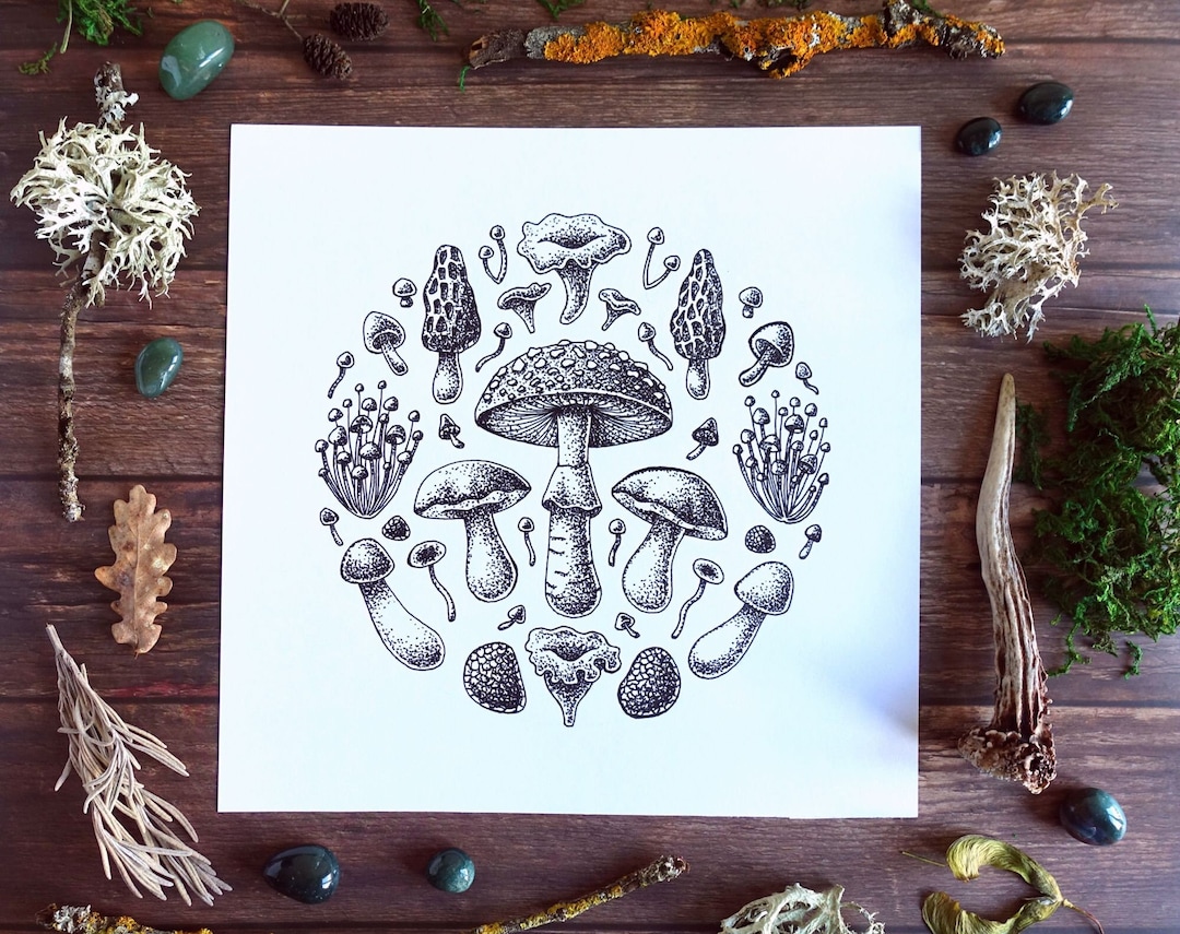Mushroom Ink Drawing on Paper - Mushroom Circle - 21 X 21 Cm - 8.27 X 8 ...