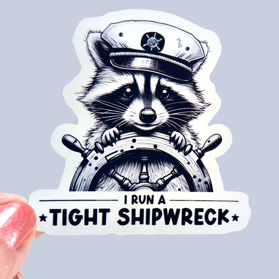 Vinyl Sticker or Magnet, Funny Raccoon Sticker, Gen Z Humor, Water ...