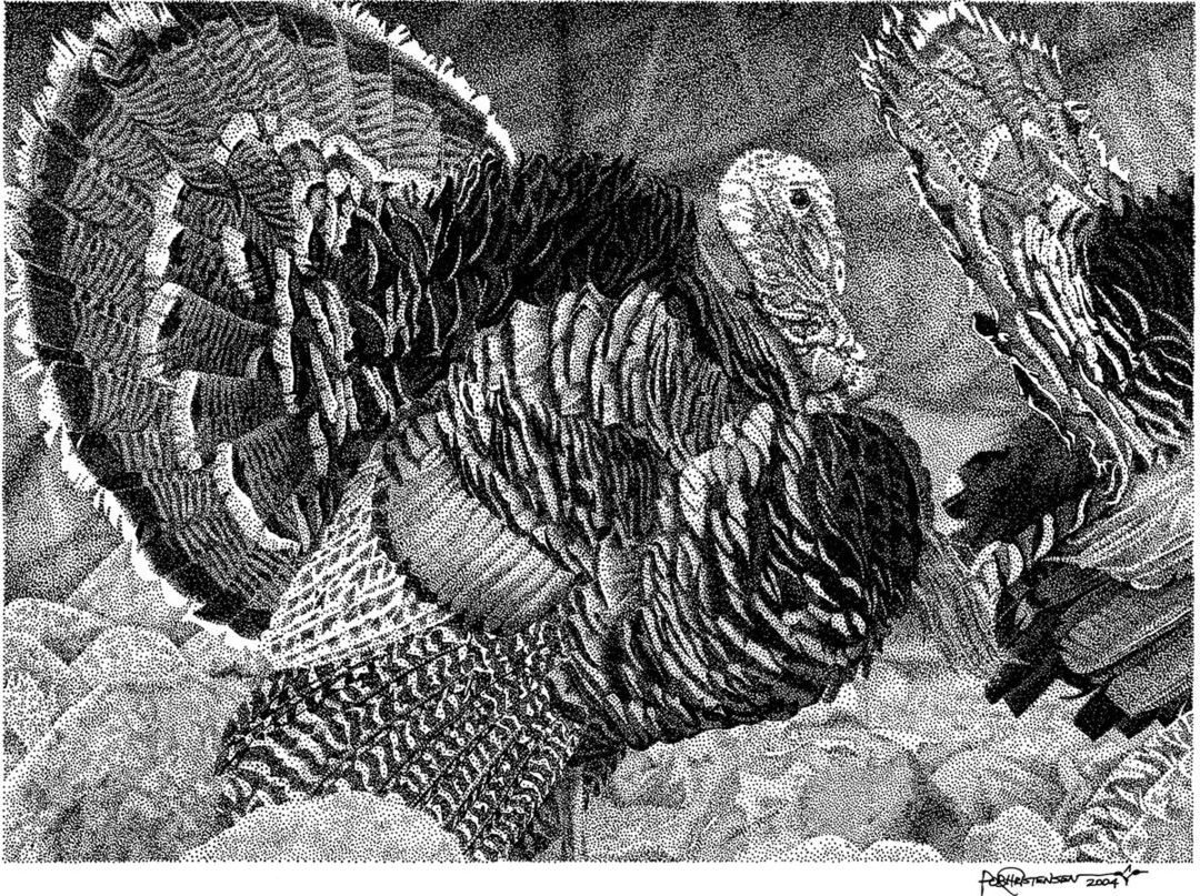 Wild Turkey Note Cards - Etsy