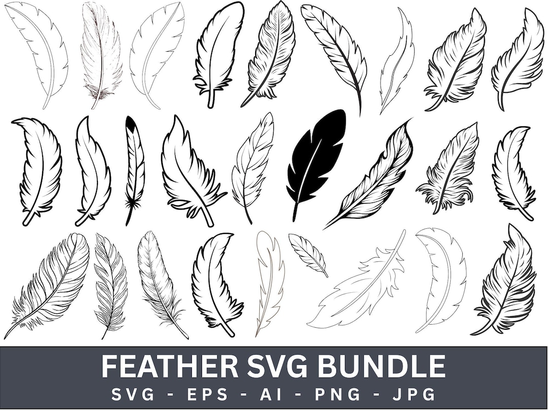 Feather Svg Bundle, Feathers Clipart, Feathers Silhouette, Feathers Cut ...