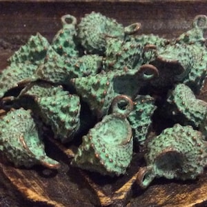 Mykonos Greek Casting Tectured Conch Shell Charm 19mm X 12mm Qty 1 - Etsy