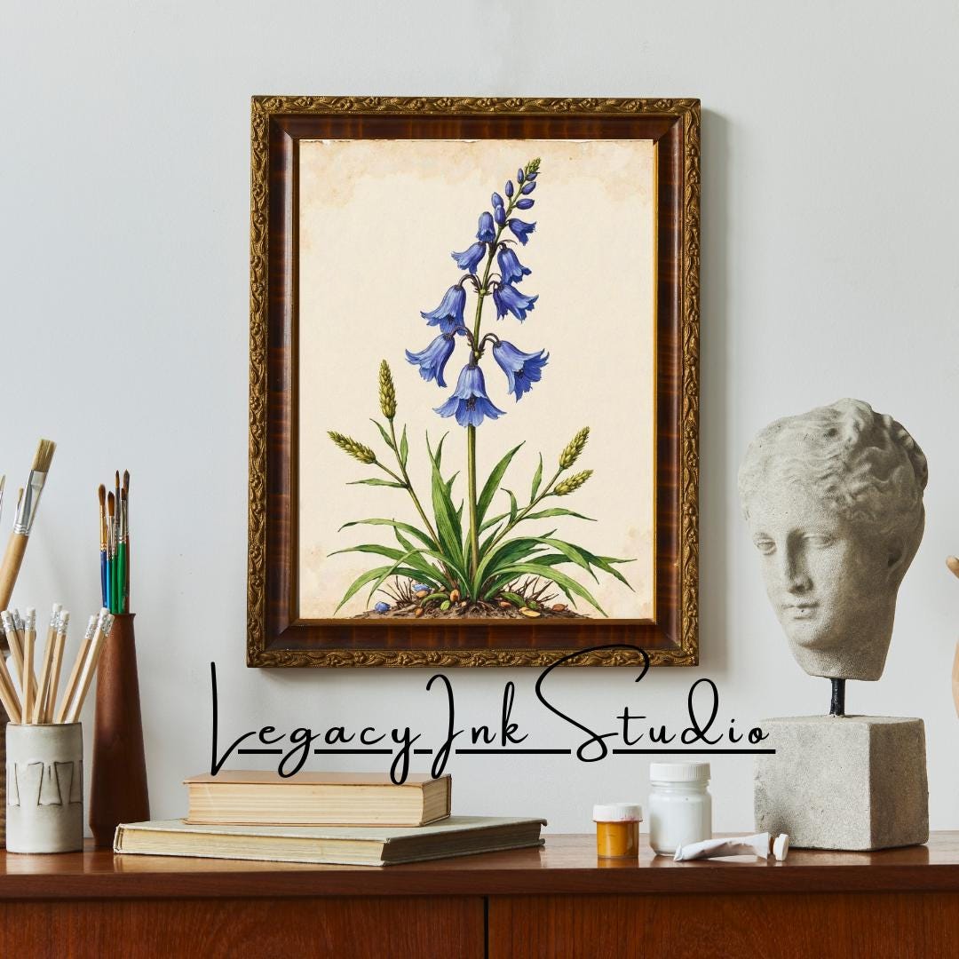 Vintage Bluebell Botanical Print, Antique Style Floral Illustration ...