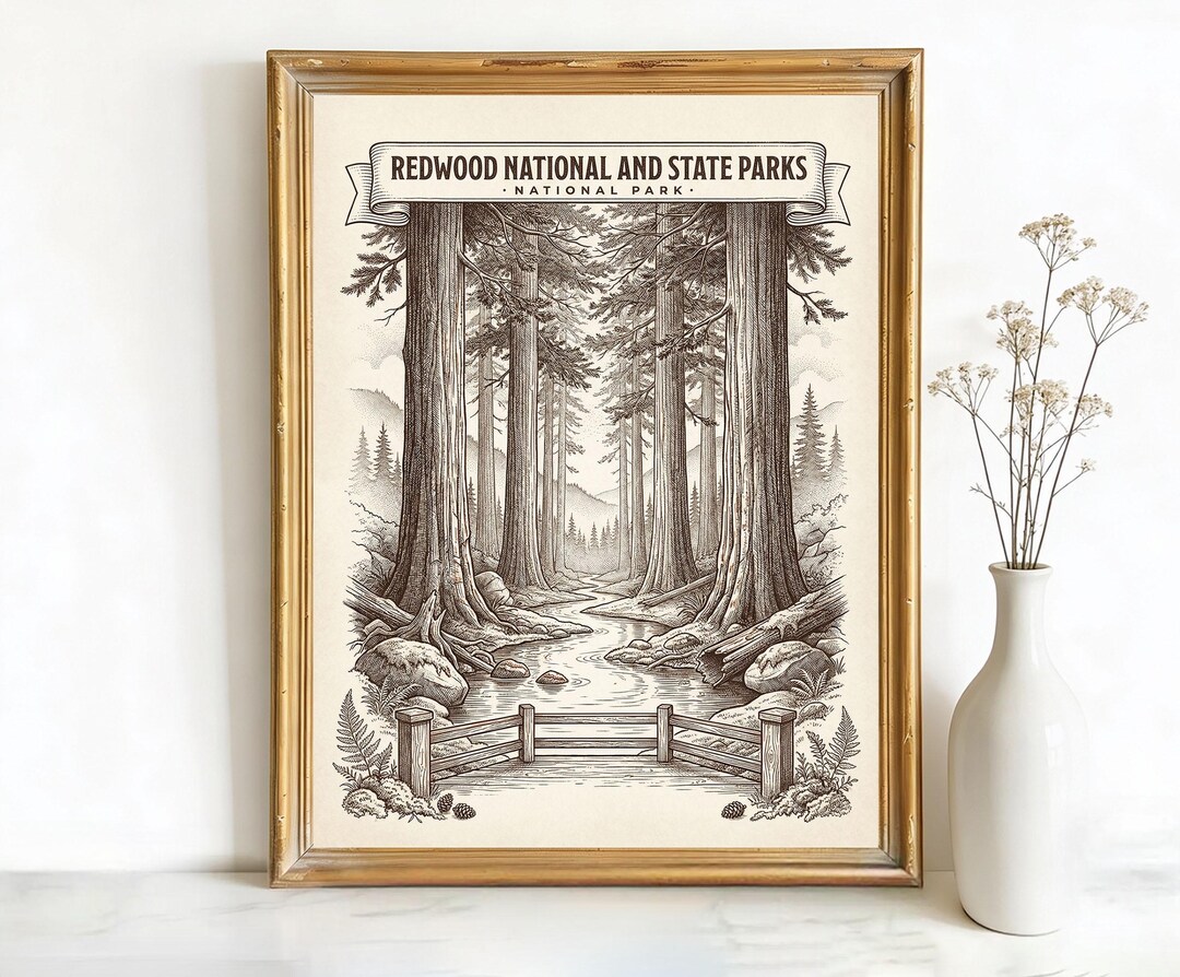Redwood National and State Parks California Giant Redwood Trees Art ...