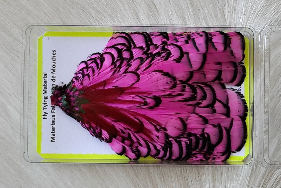 Fly Tying Material. feather. Lady Amherst Cape.. - Etsy