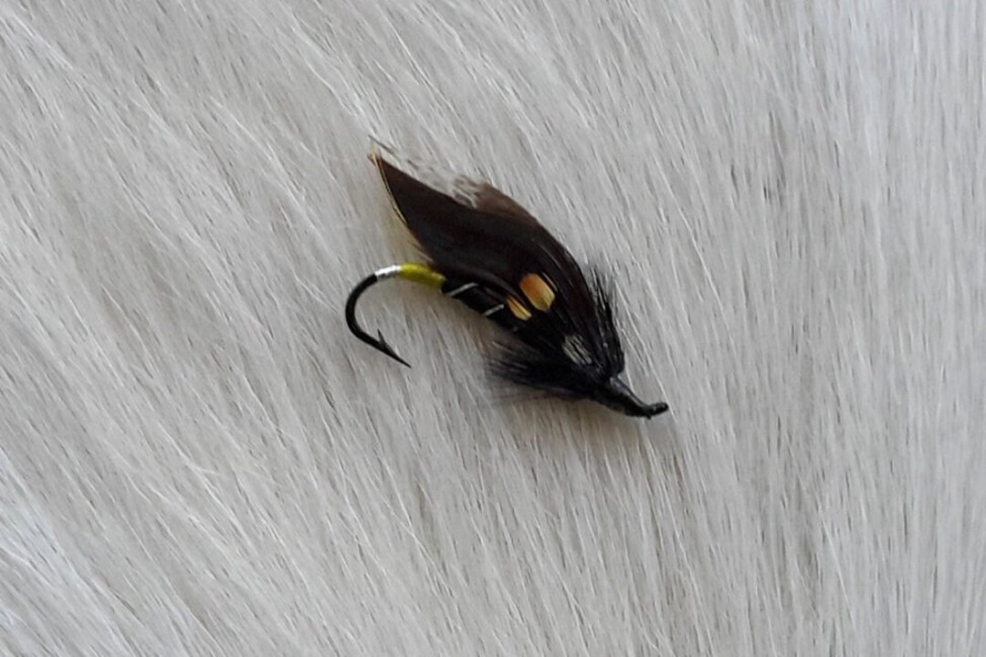 Fly Fishing Flies.... SLS Fully Dress Salmon Flies Black - Etsy