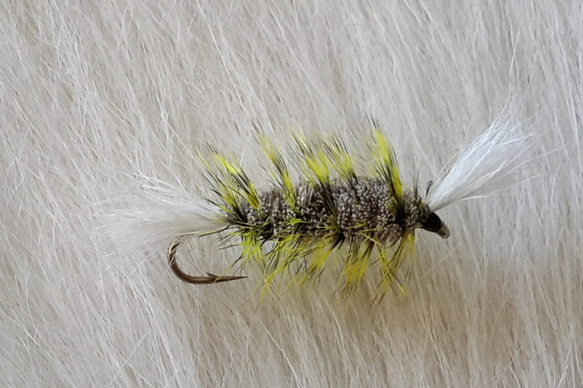 Fly Fly Fishing Flies .. 1 Flies Only .. White Tail Front & - Etsy