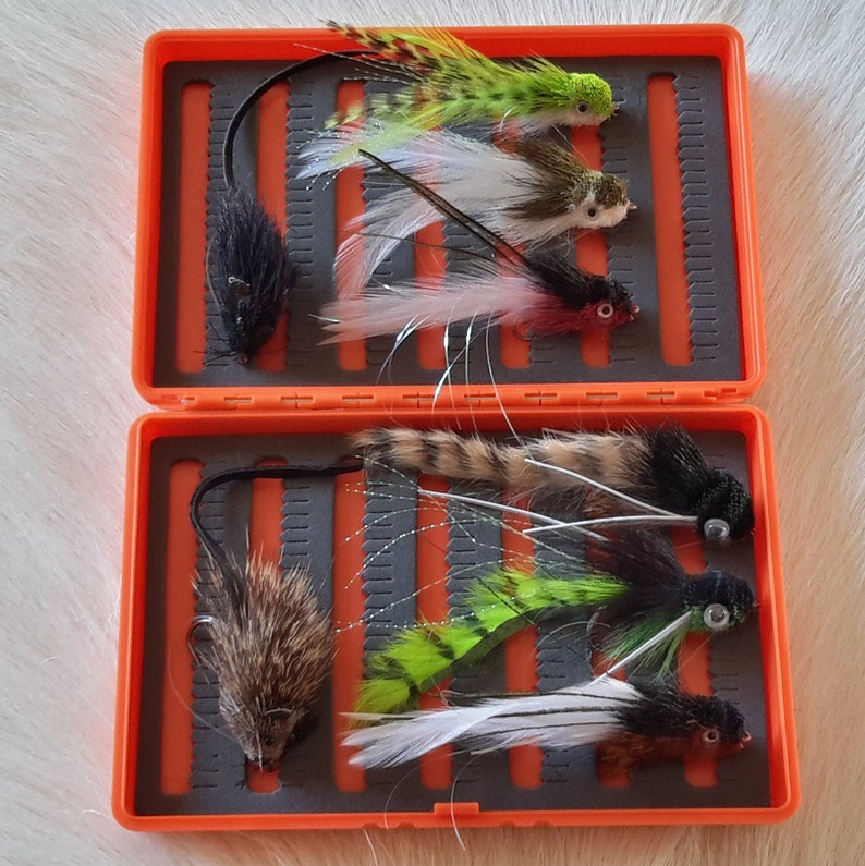 Fly Fishing Flies . 8 Only Bass Flies Combo With - Etsy