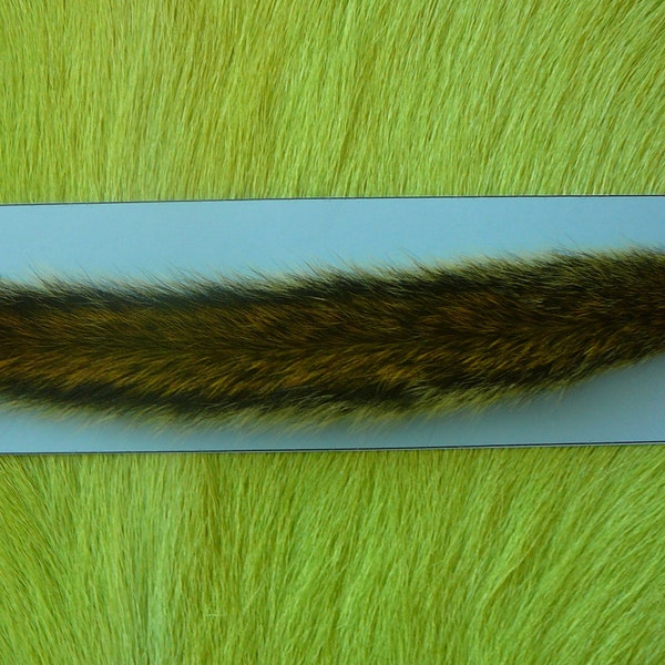 Squirrel Tail - Etsy