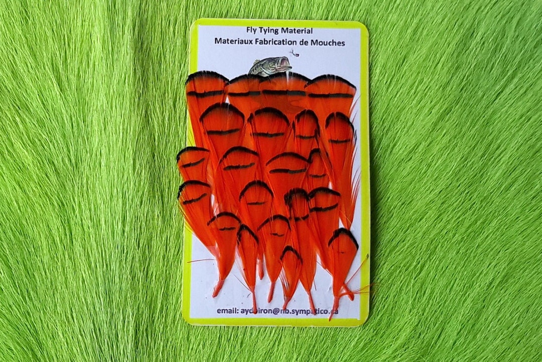 Fly Tying Feather. Lady Amherst .. feather Loose.... - Etsy
