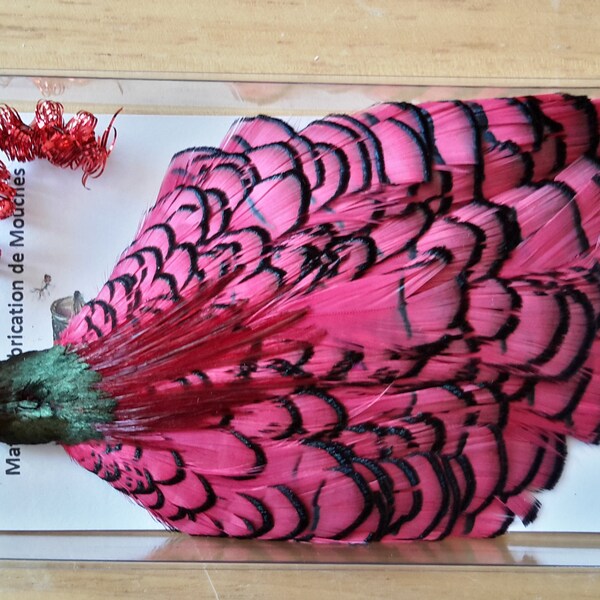Feather Cape - Etsy