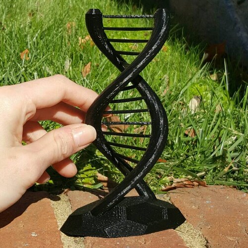 DNA Double Helix Science Gift 3D Printed - Etsy