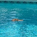 Floating Alligator Pool Thermometer - Etsy