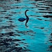 Nessie the Loch Ness Monster Floating Pool Decoration - Etsy