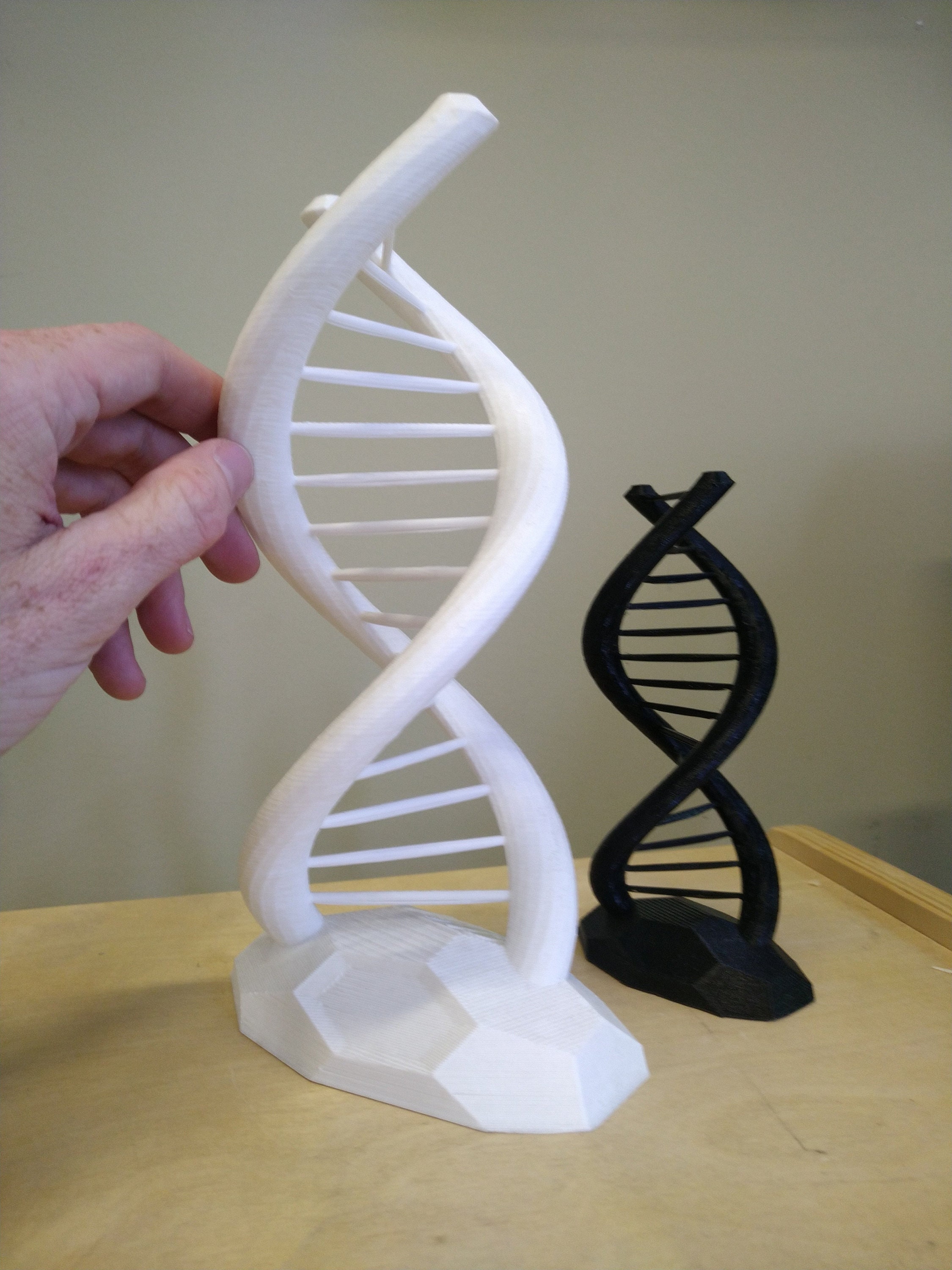 Dna Double Helix 3d Model