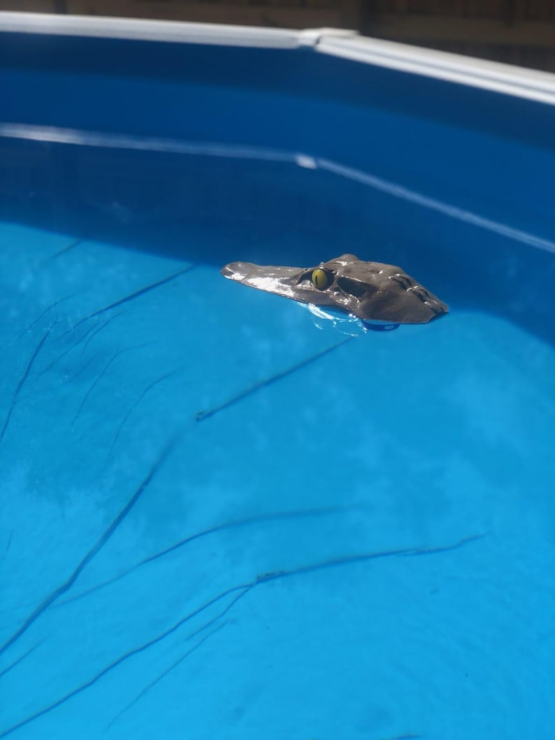 Floating Alligator Pool Thermometer - Etsy