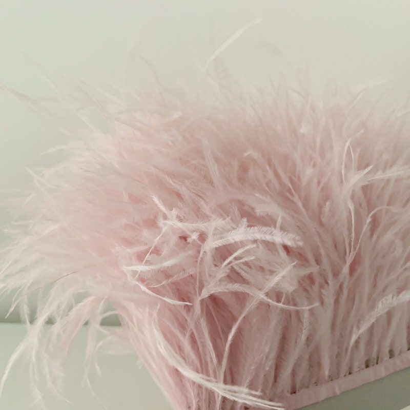 Pink Ostrich Feathers - Etsy