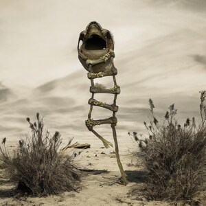 A Jumping Spider Magnetic Handmade Skull Hide With Bone Ladder - Etsy