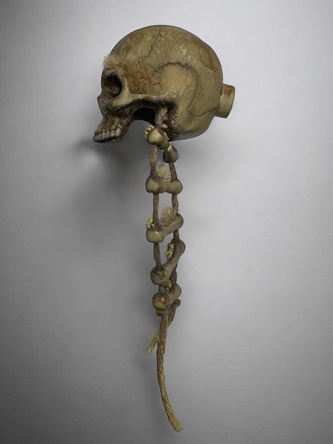 A Jumping Spider Magnetic Handmade Skull Hide With Bone Ladder - Etsy