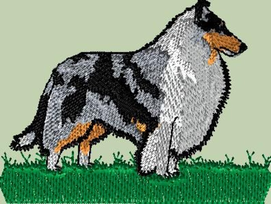 Blue Merle Rough Collie Embroidery Design. Can Also Be Sewn Out as a ...
