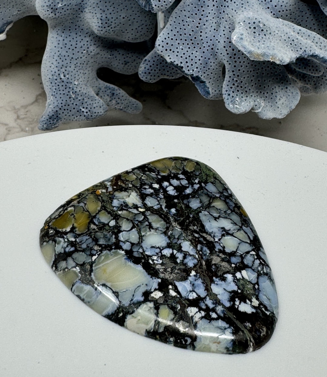 Hold for Christopher HUGE! 59mm GEM Grade 110ct Pre 1970s Royal Web New ...