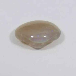 Old Australia Intact Precious Fire Flash 5.5ct Opal Opalised ...