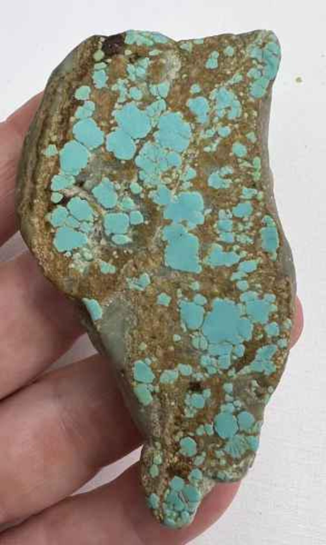 Edgar #8 Mine Turquoise Old Mine Material Bright Blue Spiderweb 226 ...