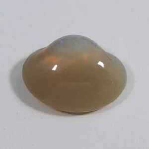 Old Australia Intact Precious Fire Flash 5.5ct Opal Opalised ...