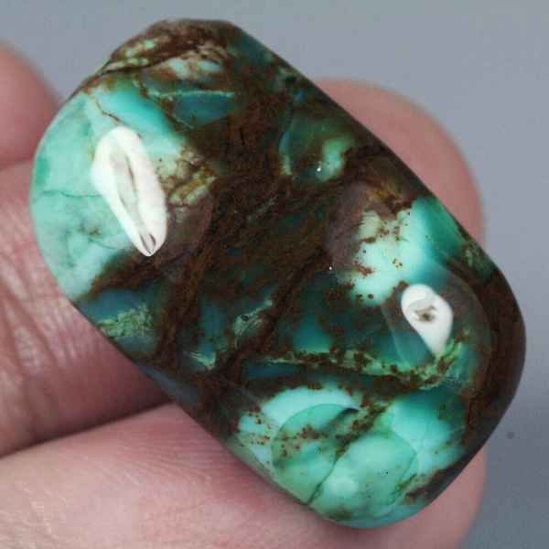 1970s Natural Turquoise Smokey Bisbee Water Web Birds Eye Cabochon ...